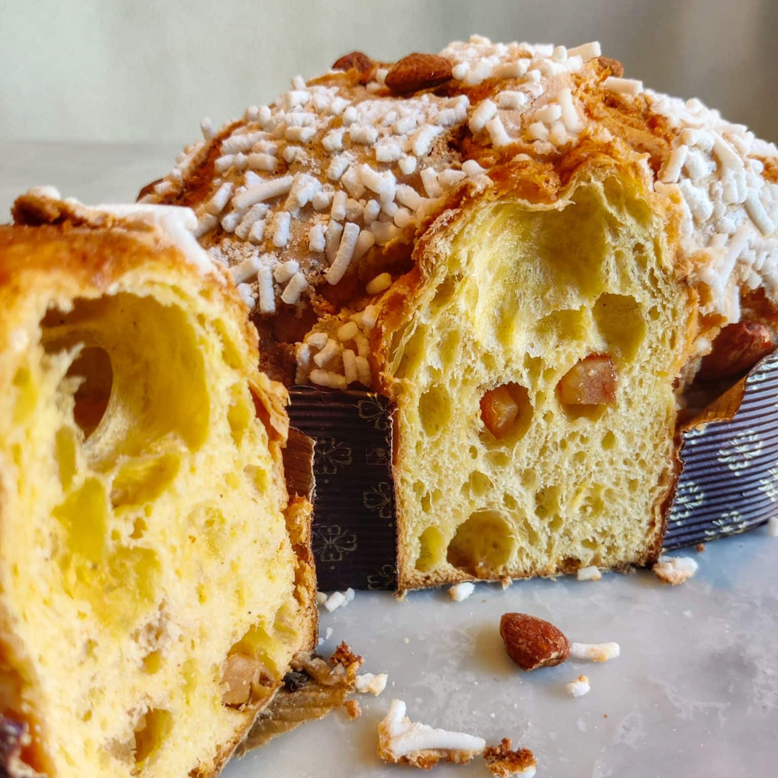 COLOMBA CLASICA - Infermentum - Casabase