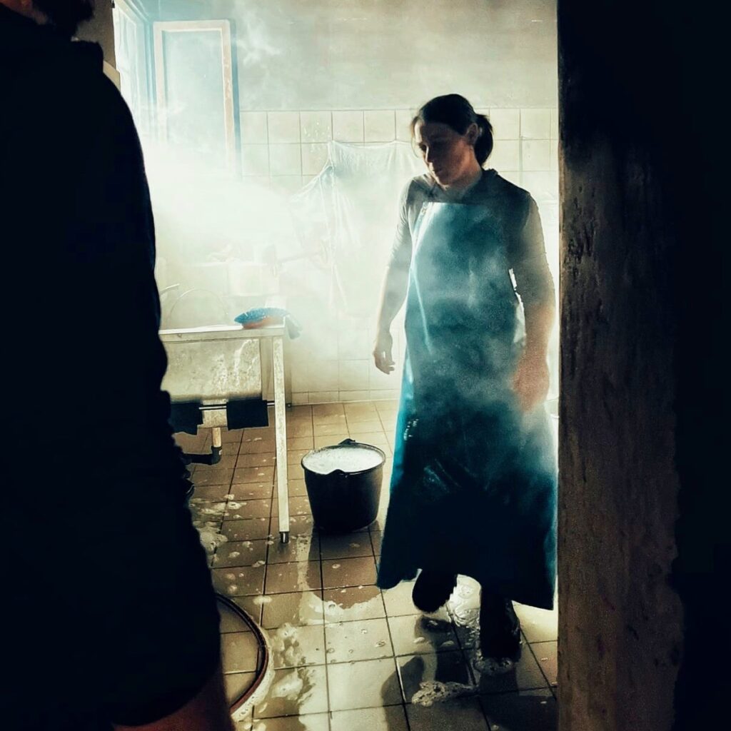 GRASSO D'ALPE 2021-Queso de montaña-150 GR - Casabase